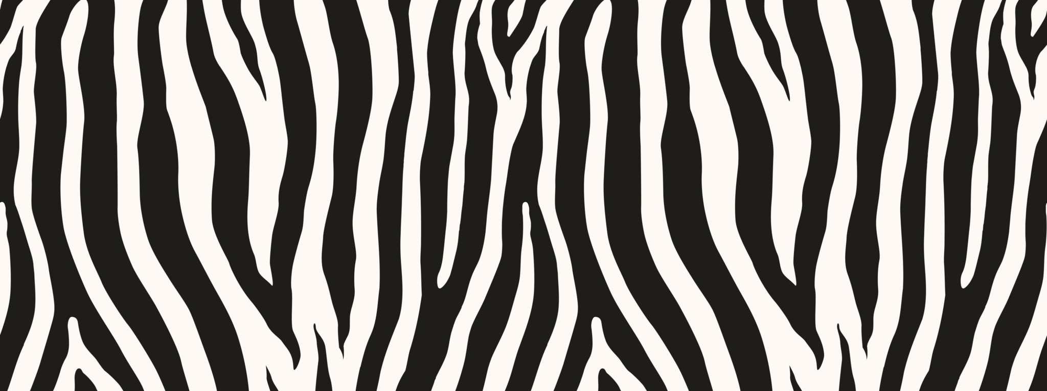 Animal Print Jewelry | Zebra and Snake-Inspired Designs | KADEN & KAI®